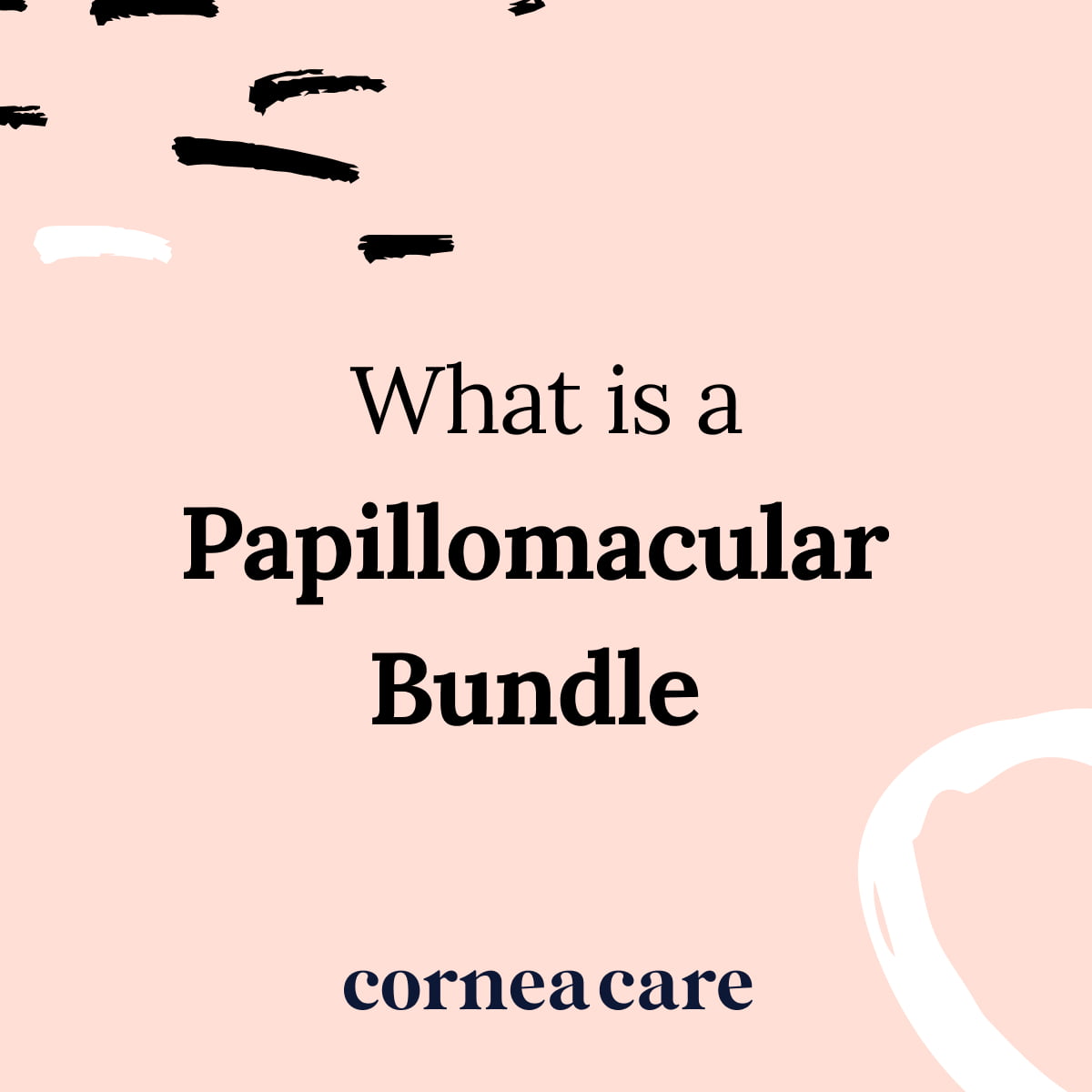Papillomacular Bundle Definition - CorneaCare