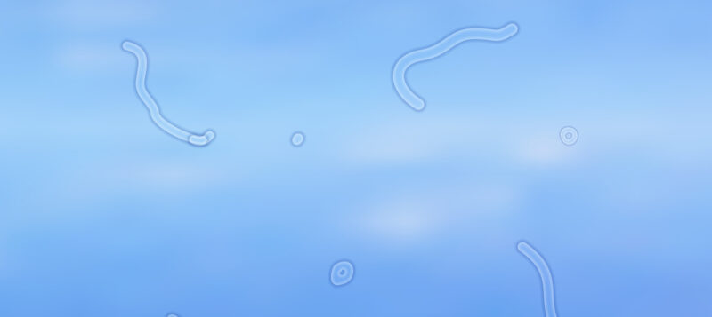 Are Floaters in the Eye Dangerous? Causes, Risks and Treatments